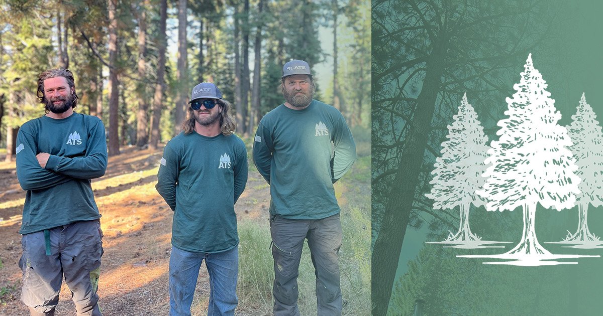 About Us - Alpine Tree Services - Northern California