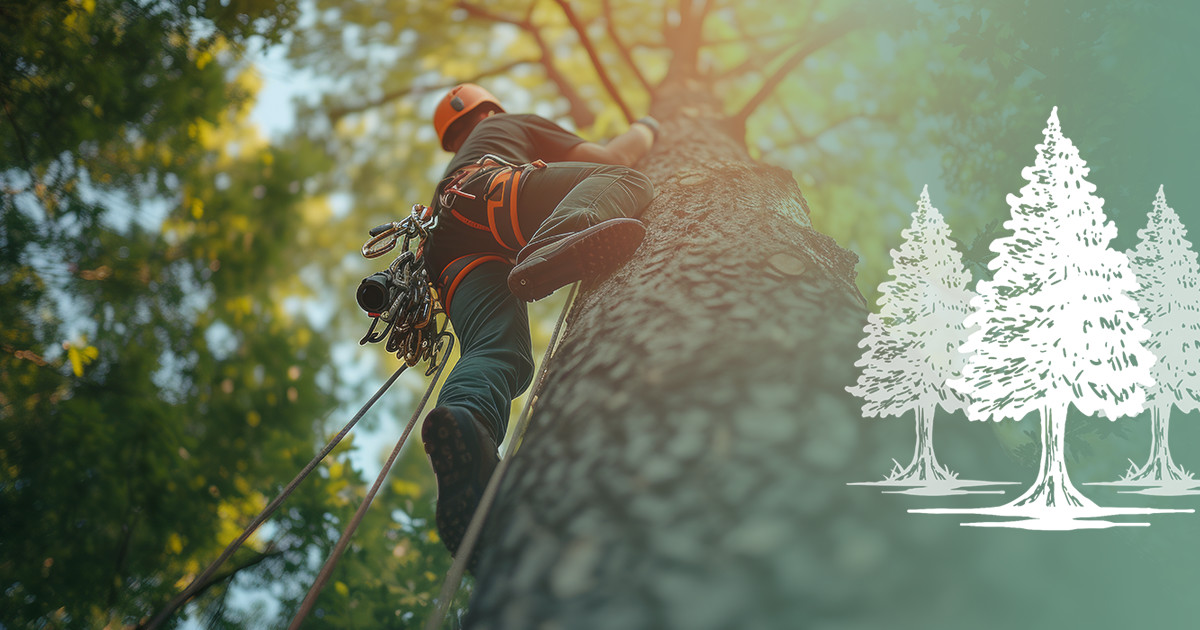 Tree Care & Property Services - ATS Truckee CA