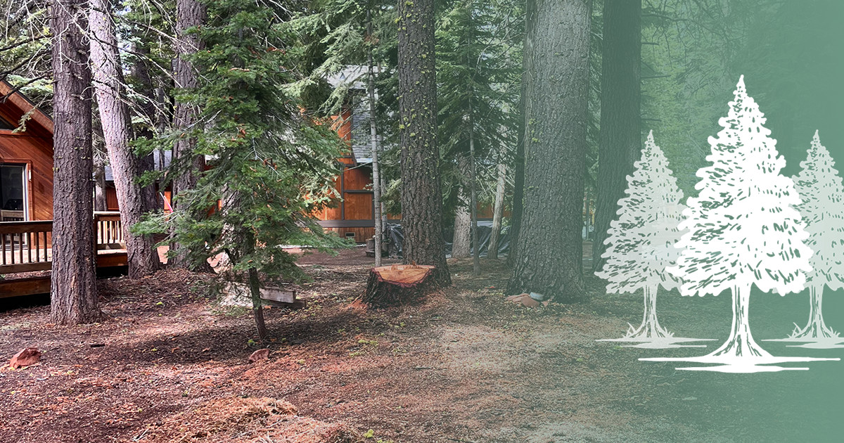 Resources for Improving Defensible Spaces - ATS Truckee CA